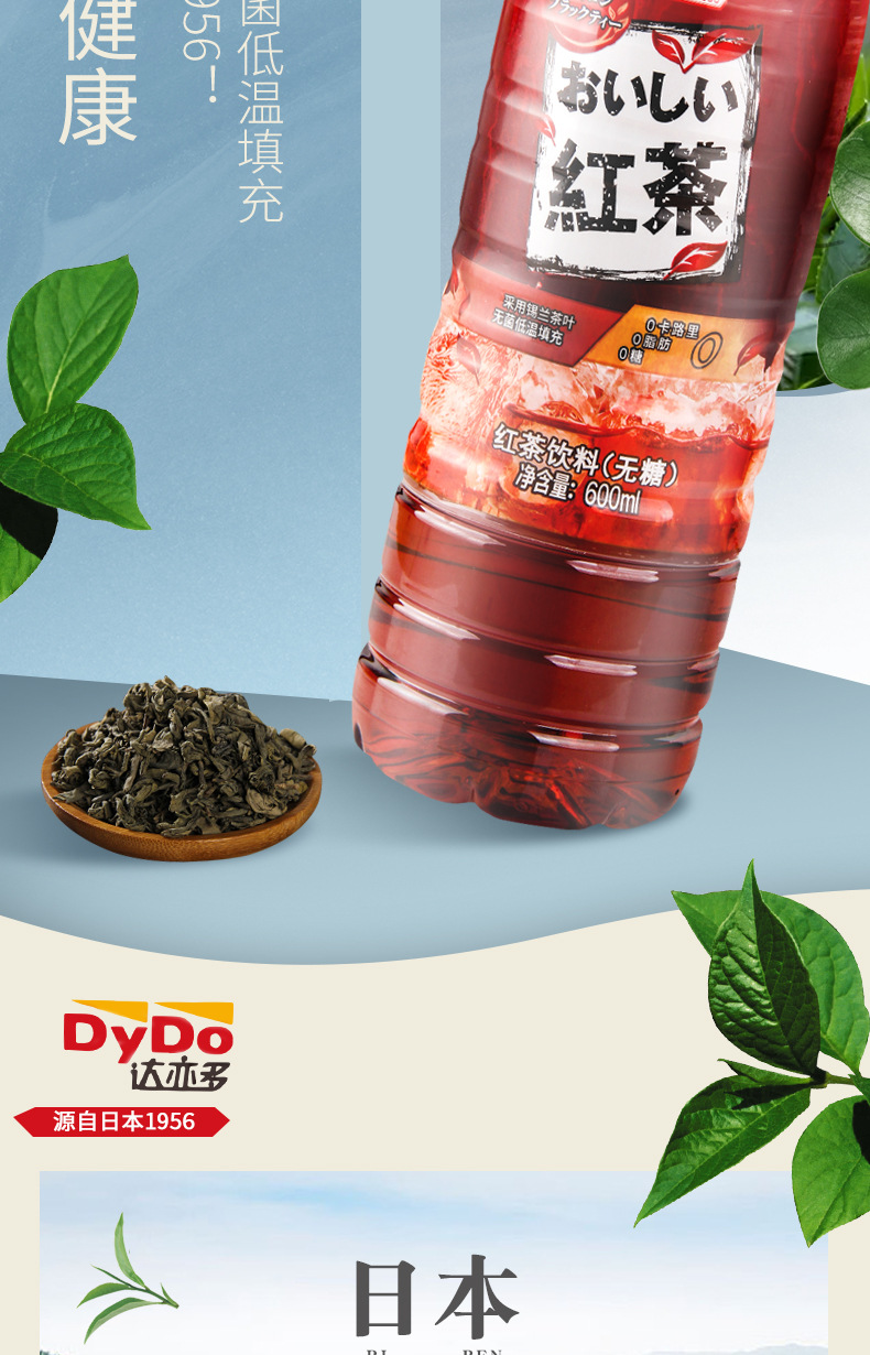 Dydo达亦多大麦茶红茶饮料600ml*15瓶绿茶乌龙茶夏日饮品整箱批发-阿里巴巴