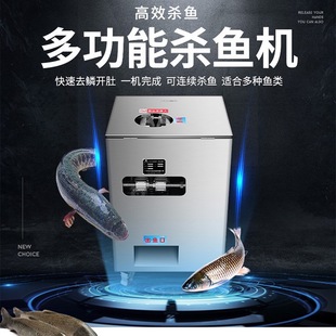 自动杀鱼机开背开鱼肚杀鱼机宰鱼机花鲢小型杀鱼机去鱼鳞机杀草鱼-阿里巴巴