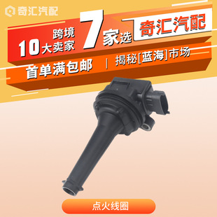 汽车点火线圈点火系统适用沃尔沃OE:0221604001,30713416,9125601-阿里巴巴