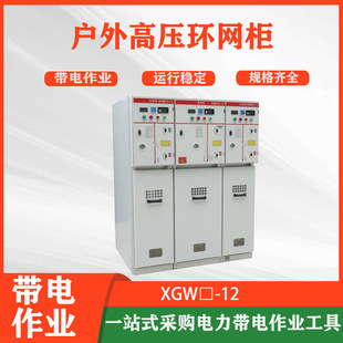 环网柜SF6负荷开关柜 高压电缆分支箱户外高压环网柜XGW -12-阿里巴巴