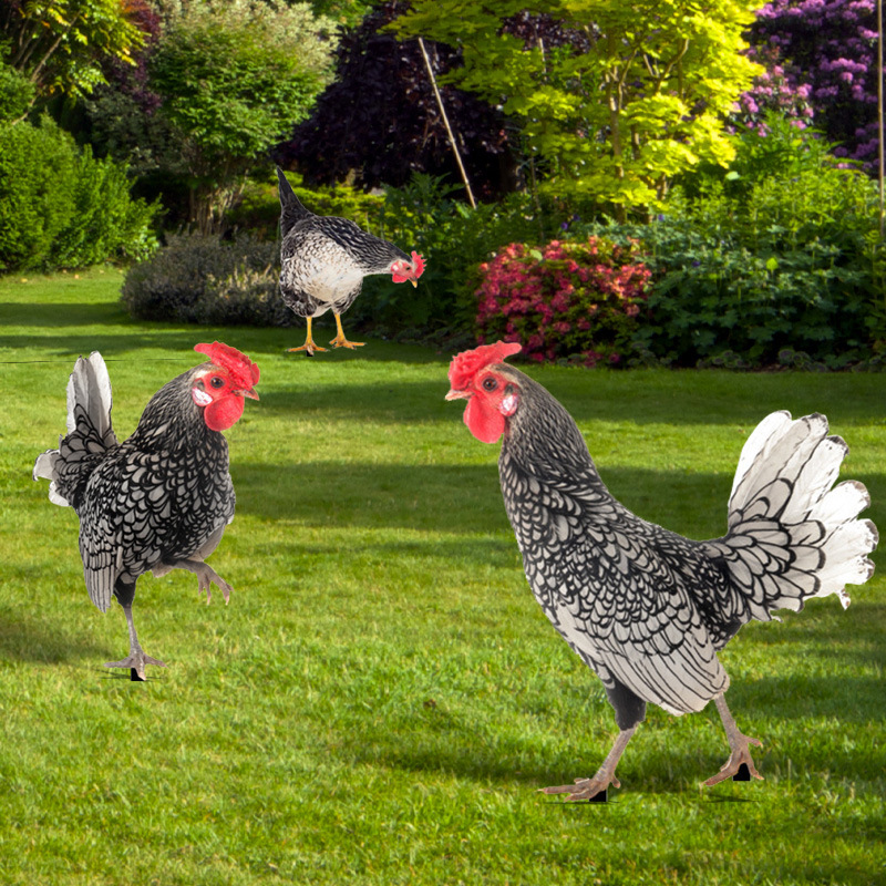 新品跨境亚克力2D镜面yard art花园装饰动物插牌仿真庭院公鸡-阿里巴巴