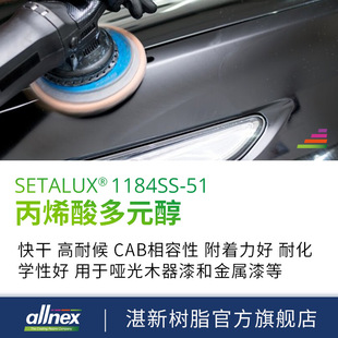 湛新丙烯酸树脂 Setalux 1184 丙烯酸多元醇 木器漆用 快干耐候-阿里巴巴