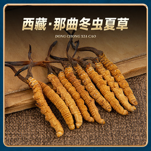 正品西藏那曲冬虫夏草 高海拔散装足干虫草批发5g多规格虫草干货-阿里巴巴