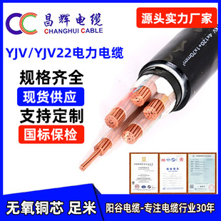 WDZ-YJY低烟无卤阻燃电力电缆4*25 35 50 70+1国标5芯电缆线厂家-阿里巴巴