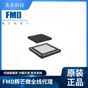 FMD/辉芒微 FT32F030C8BU7-QFN48 32位单片机国产芯片兼容替代-阿里巴巴