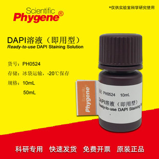 DAPI溶液 即用型 DAPI染色液 科研实验 10mL [PH0524 PHYGENE]-阿里巴巴