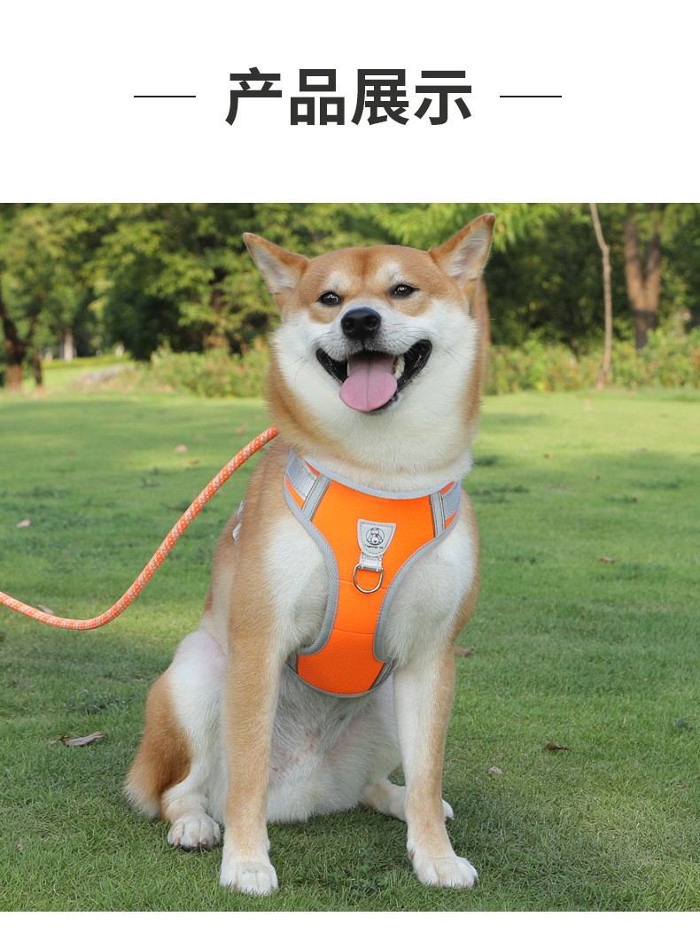 跨境新款宠物牵引绳 中大型犬狗狗通用安全扣狗链P链防丢遛狗绳子-阿里巴巴