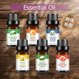 跨境批发 Essential oil 植物单方精油10ml 扩香加湿器香薰机精油-阿里巴巴