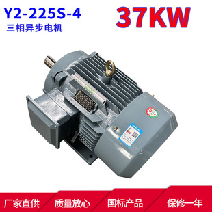 Y2系列马达三相异步电动机Y2-225S-4 37KW 4极三相异步电机 本速-阿里巴巴