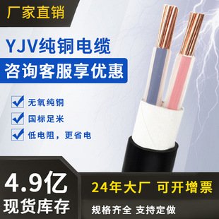 国标足米纯铜护套线YJV2芯4 6 10 16 25平方家用阻燃室外电线电缆-阿里巴巴