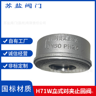 H71H/W-16C国标铸钢不锈钢对夹弹簧升降式止回阀H72X/F-10P单向阀-阿里巴巴