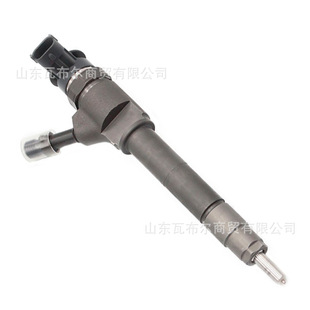 0445110307喷油器0445110859 0445110657 0445110558-阿里巴巴