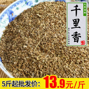 千里香500g餐饮专区香料大全优质千里香 川菜火锅麻辣烫调料-阿里巴巴