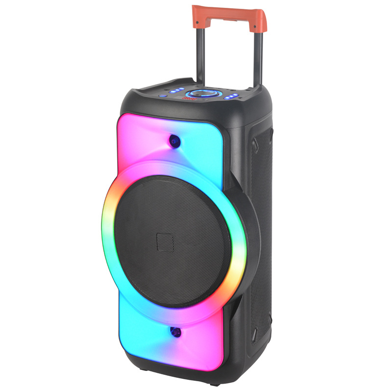NDR 12 inch portable trolley Bluetooth karaoke speaker-阿里巴巴
