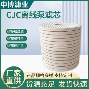 替代CJC离线泵滤芯过滤器B27/27PA56013A15/25B15/25F15/25滤油机-阿里巴巴