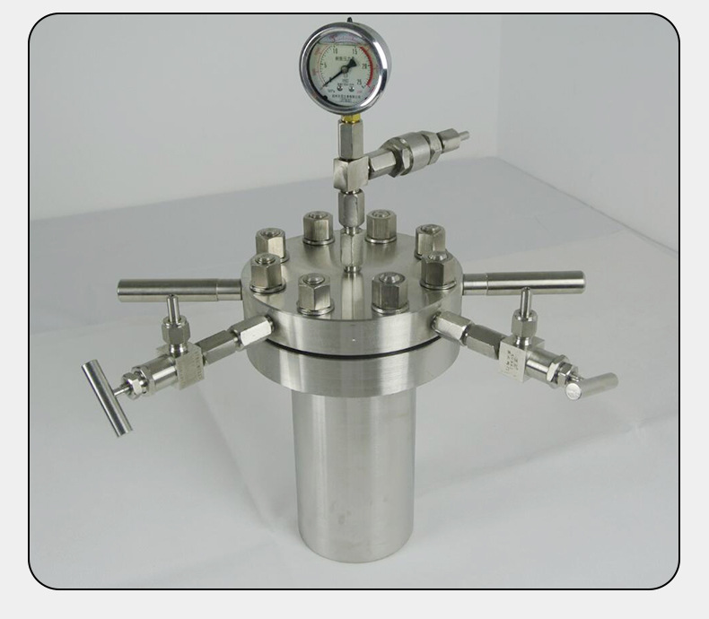 实验室磁力搅拌不锈钢反应釜TGYF-C小型台式不锈钢高压反应釜变频-阿里巴巴