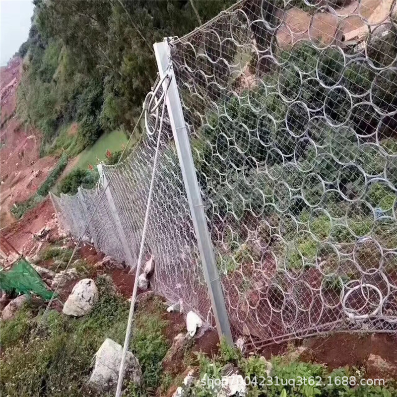 被动防护网 边坡柔性防护网系统 PPS-200/DB-A型被动防护网-阿里巴巴