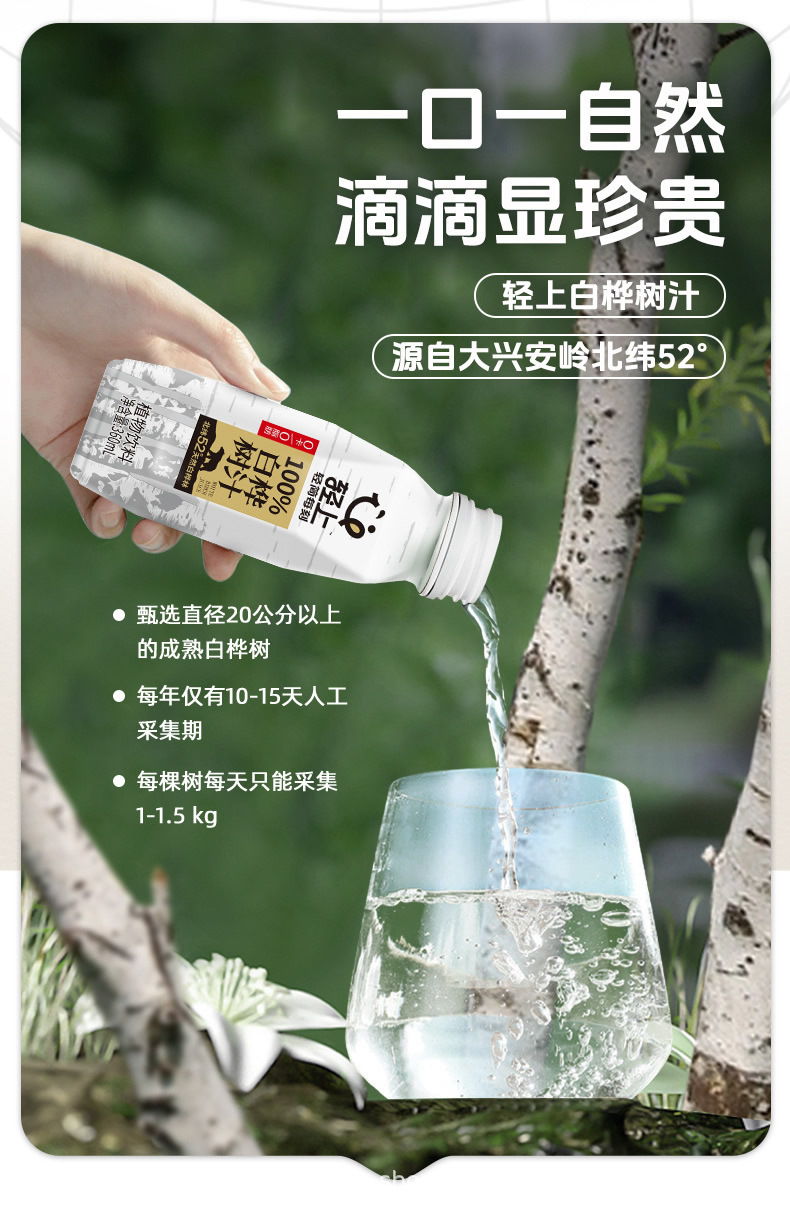轻上天然白桦树汁原液nfc白桦树水100%植物饮品料360ml一件代发-阿里巴巴