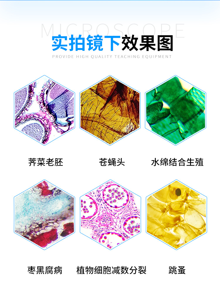 XSP-104单目显微镜 生物教学实验室 儿童兴趣培养 教师推荐-阿里巴巴