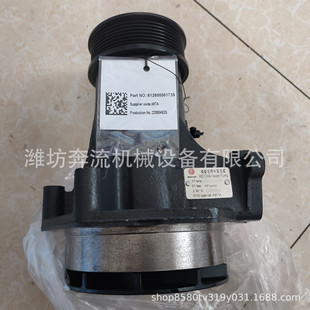 612600061739 水泵 潍柴原厂斯太尔WP10 WP12 WP13 D615水泵总成-阿里巴巴