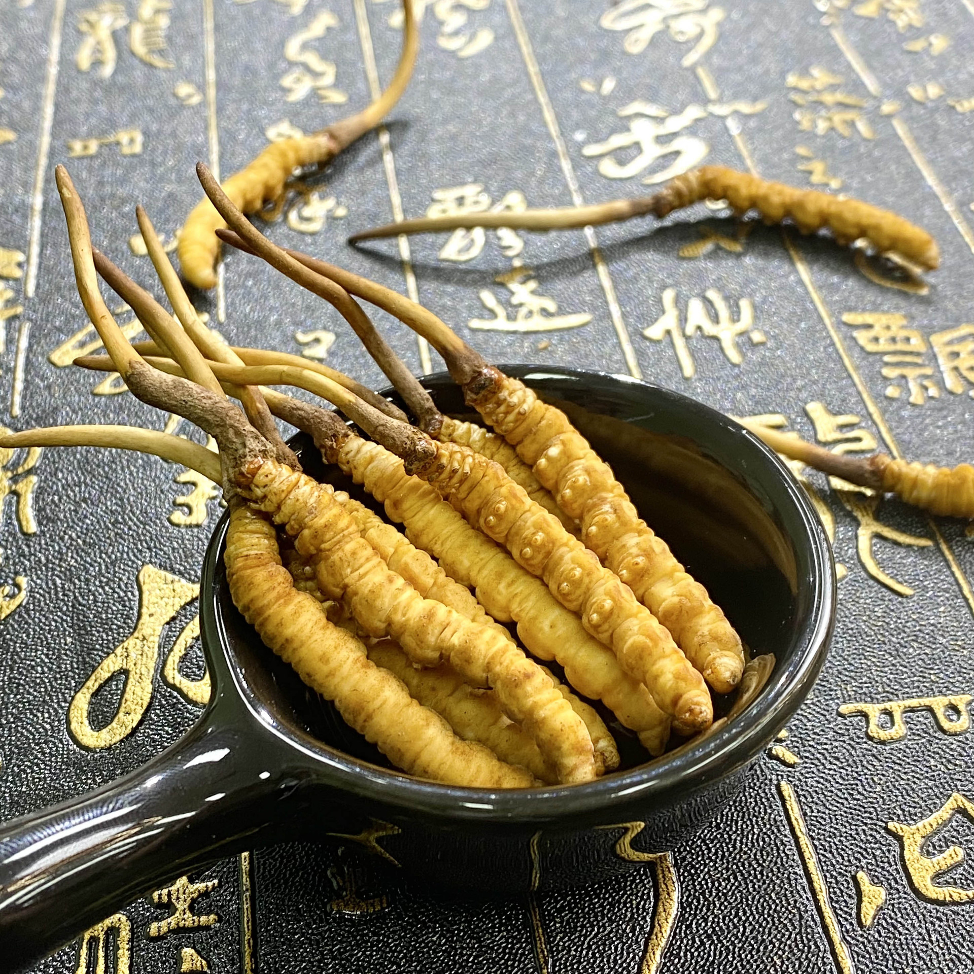 君荣药业 西藏那曲鲜冬虫夏草 干货批发青海高海拔虫草一手货源-阿里巴巴