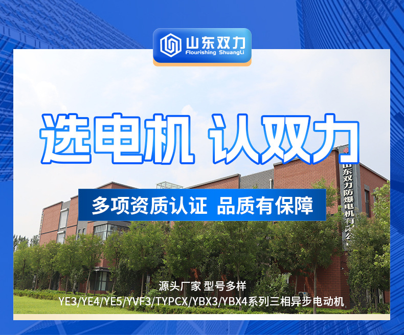 定制YE3/YE4/YE5三相异步交流立式电机 4极能效1500转高效率电机-阿里巴巴