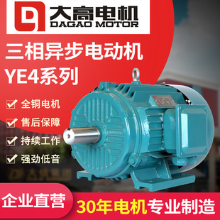 YE4三相异步电动机0.75kw-315kw二级能效380V全铜交流马达电机-阿里巴巴