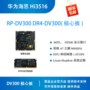 海思hi3516dv300开发板 hi3516 DR4-dv300核心板双目荣品RP-DV300-阿里巴巴
