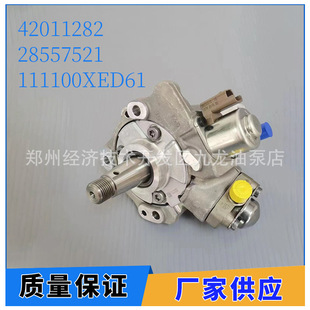 1111100XED61长城炮高压油泵42011282 28557521 适用德尔福 风骏7-阿里巴巴