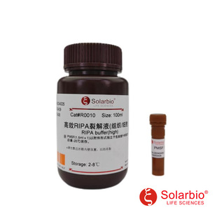 R0010 高效RIPA裂解液 组织/细胞 不含磷酸酶抑制 配PMSF附件-阿里巴巴