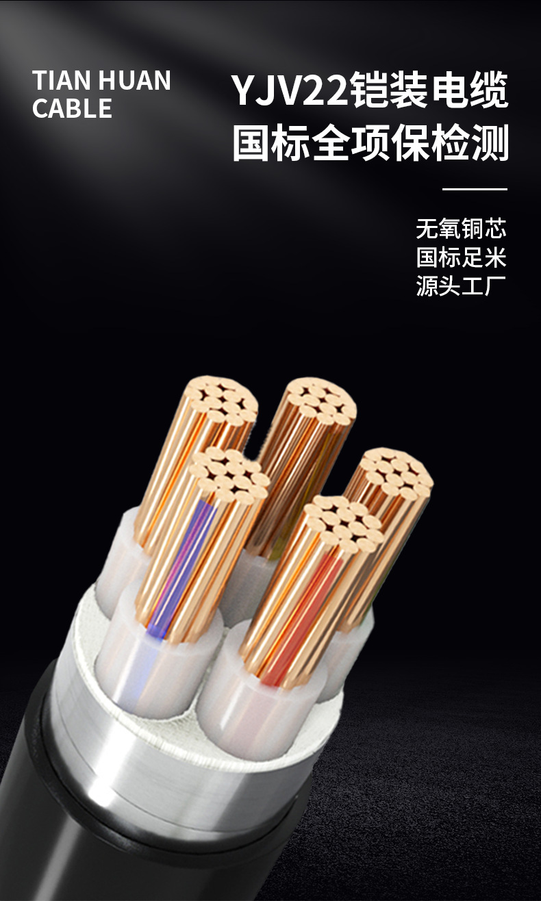 【规格齐全】天环 ZC-YJV22 国标低压铠装铜芯阻燃电缆线-阿里巴巴