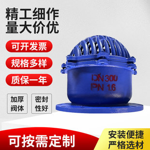 铸钢法兰底阀H42H-16升降式底阀DN200 DN300莲蓬头水泵吸水止回阀-阿里巴巴