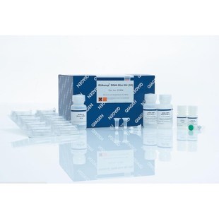 凯杰Qiagen51304基因组DNA小提试剂盒QIAamp DNA Mini Kit 50T/盒-阿里巴巴