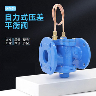 上海沪工精工法兰ZYC自力式压差阀ZY47F可调压差控制阀门动态平衡-阿里巴巴