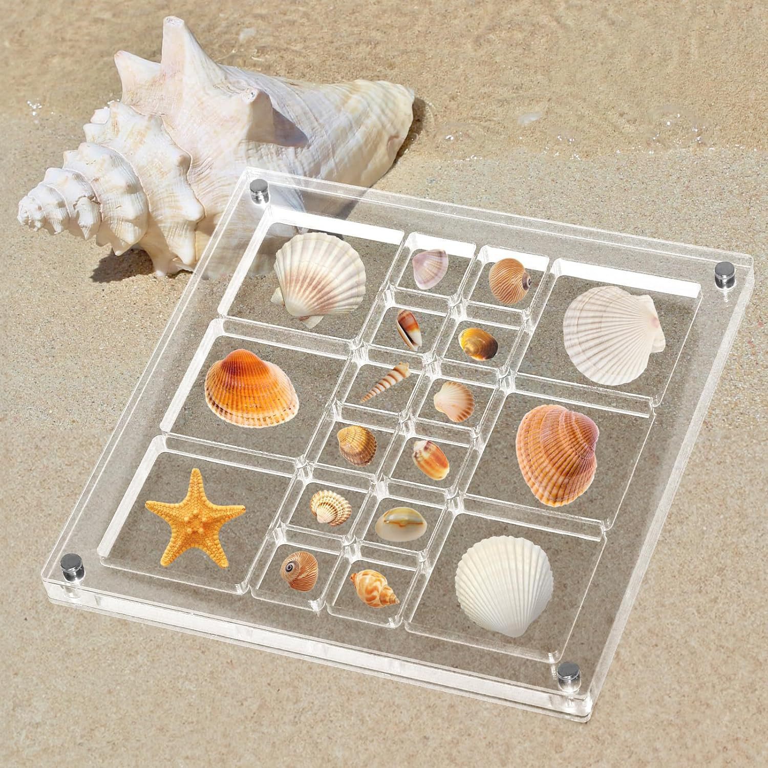 Acrylic Magnetic Seashell Display Box 贝壳收纳盒装饰盒-阿里巴巴