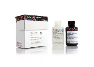 thermo超敏发光液34095 PIERCE高灵敏度化学发光底物-阿里巴巴