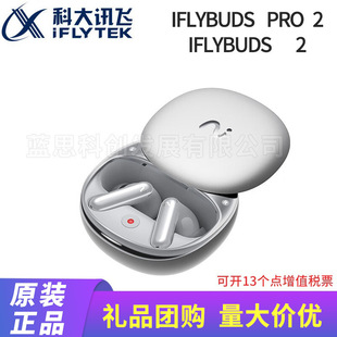 科大讯飞录音降噪会议耳机iFLYBUDS Pro 2蓝牙耳机无线降噪入耳式-阿里巴巴