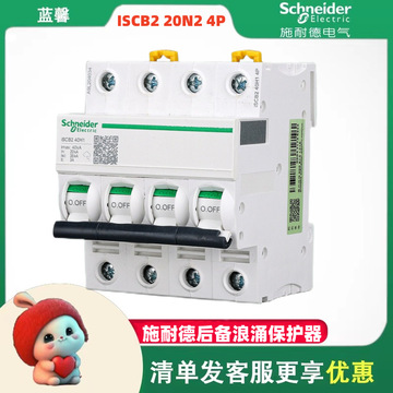 施耐全新原装浪涌保护器iSCB1 15L2 25L1 25L2 2P/3P/4P德现货-阿里巴巴