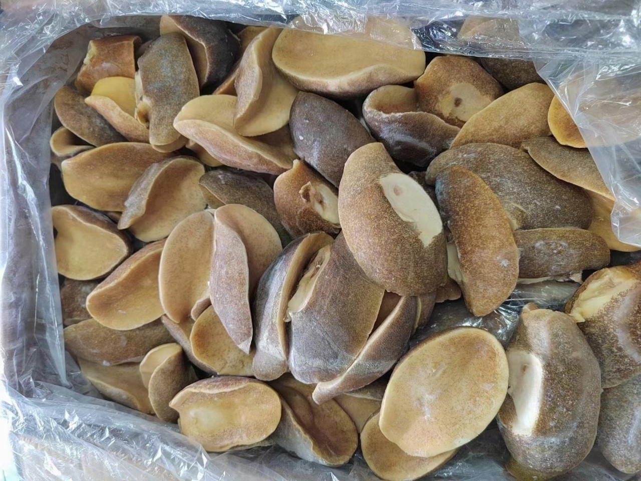 进口冷冻黄金鲍螺 大澳鲍 帝王鲍螺肉 餐饮酒店西餐料理食材-阿里巴巴