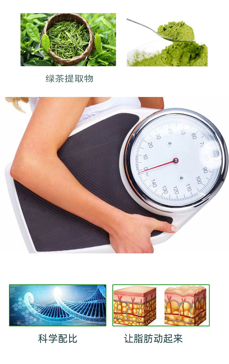 仙薇诱金源牌左旋肉碱荷叶绿茶茶多酚胶囊男女通用保健食品40粒 阿里巴巴