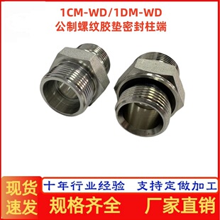 1CM/DM公制外螺纹组合垫密封 ED圈密封接头 过渡接头 液压接头-阿里巴巴