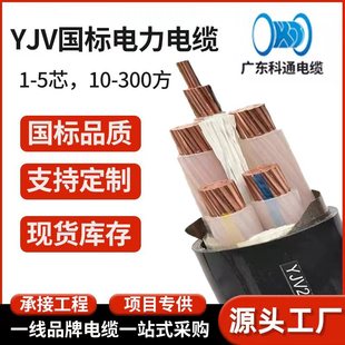 电缆充电桩YJV1-5芯国标纯铜芯10/16/25/35/50/70/95平方珠江电线-阿里巴巴