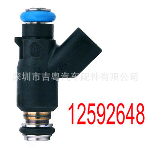 12592648 12592648 适用于别克雪佛兰凯迪拉克喷油嘴 12592648-阿里巴巴
