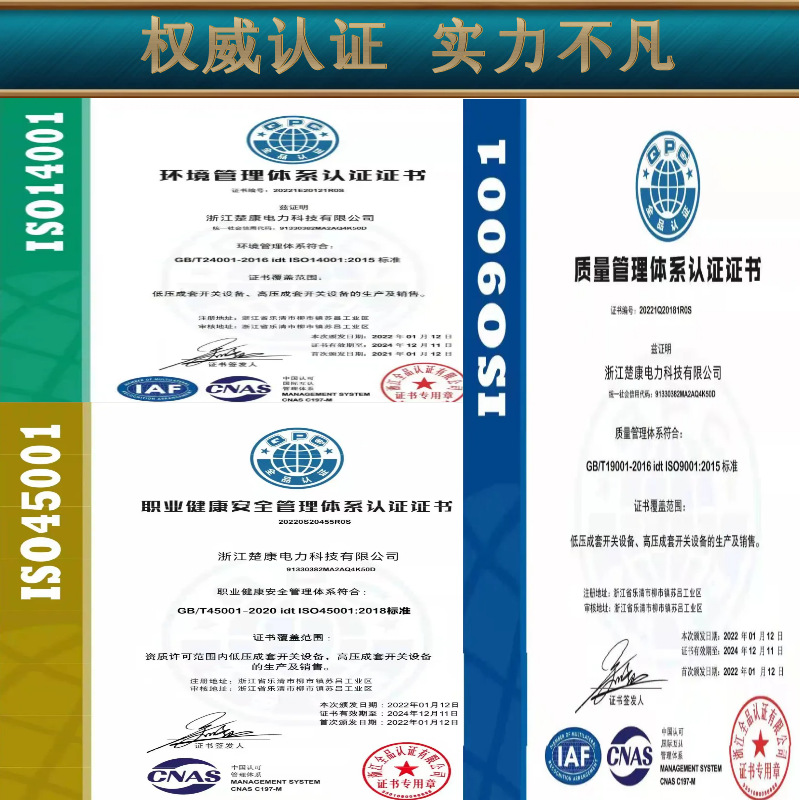 10KV高压电缆分支箱DFW户外不锈钢欧式一进二三出35kv铜排分接箱-阿里巴巴