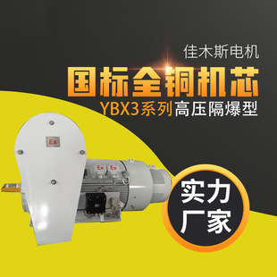 佳木斯电机马达YBX3系列高压电动机隔爆型三相异步（H355～H630）-阿里巴巴