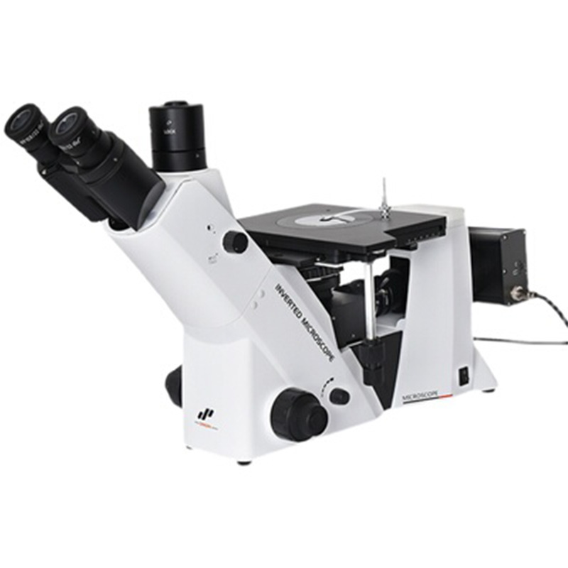 Three -eyed inverted gold showing microscope 4xc ballization rate grain ...
