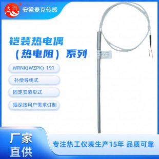 铠装热电偶K型 铠装铂电阻 PT100 WRNK-191 WZPK-191无固定装置式-阿里巴巴