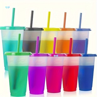 200 Stylish 24oz Color Changing Party Cups (with Lids跨境-阿里巴巴