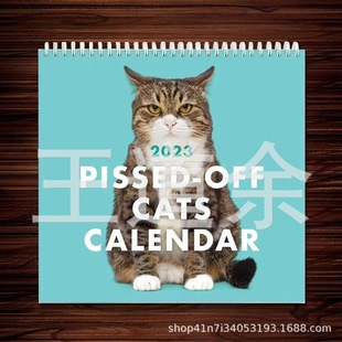 跨境2024新品Pissed-Off Cats Calendar愤怒的猫日历有趣的猫批发-阿里巴巴