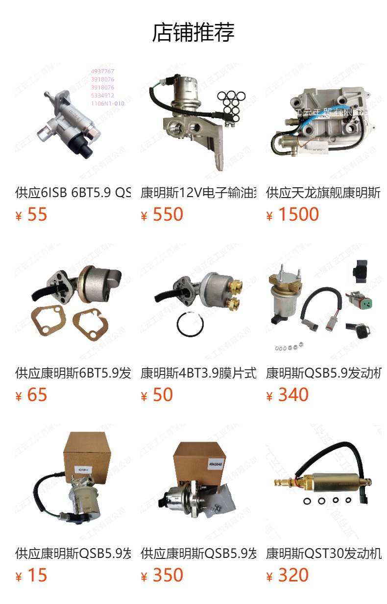 4988748 3415699小孔输油泵适用300-7挖机康明斯6CT8.3发动机-阿里巴巴